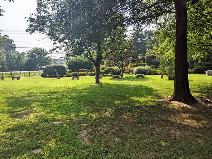 "Green, serene, and oh so keen! This tranquil spot is perfect for catching your breath after slaying imaginary dragons all afternoon."