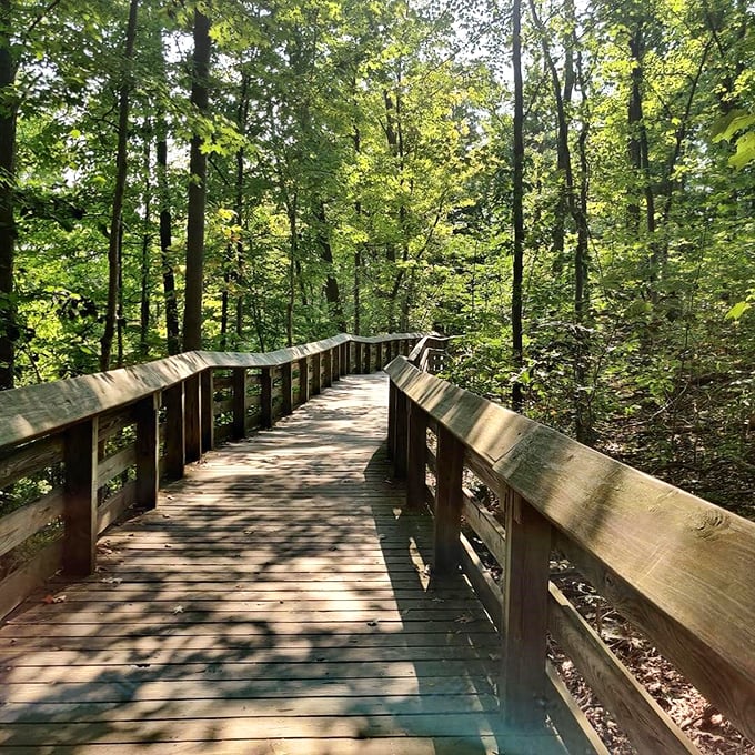 The path less traveled&hellip; or is it? This well-worn trail invites hikers to channel their inner Thoreau and embrace a bit of woodland wanderlust.