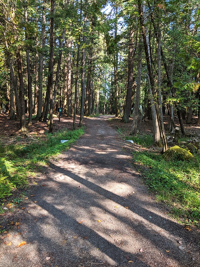 Follow the prehistoric path! This winding trail leads to encounters with Earth's most impressive former residents.