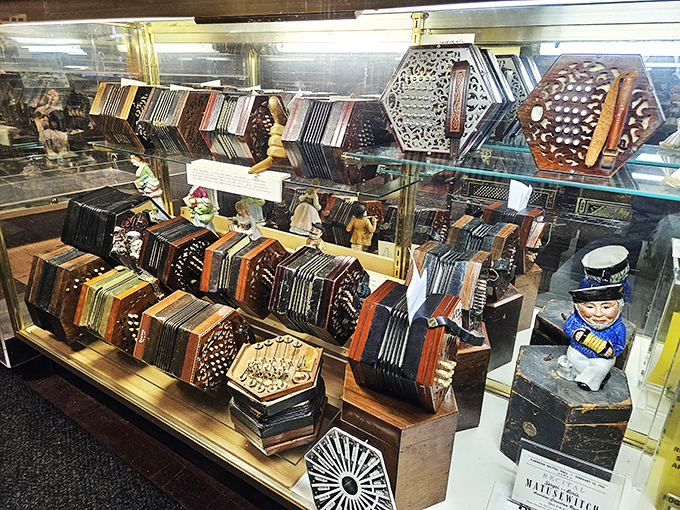 Antique accordions, where Bach meets polka in a time-traveling musical mash-up. These vintage beauties are the great-grandparents of today's squeezeboxes.