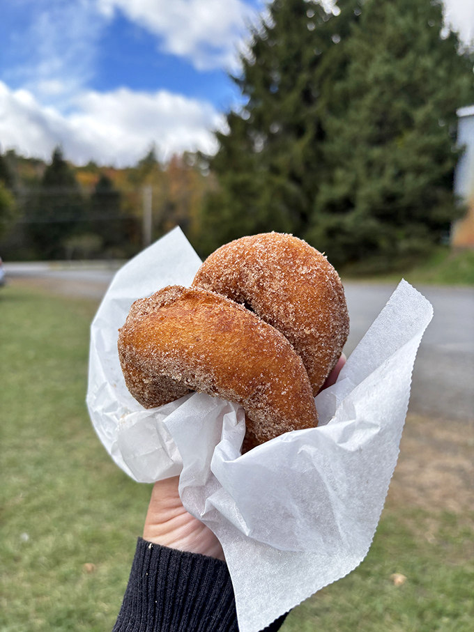 Warm, golden-brown, and dusted with cinnamon sugar – these donuts are autumn's answer to "What's for breakfast?"