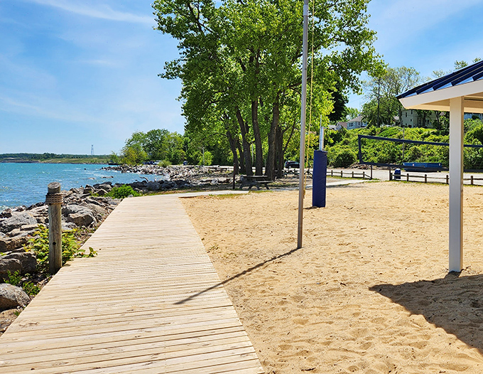 "Life is a beach, and this boardwalk is your yellow brick road to relaxation. Follow the wooden path to your happy place!"