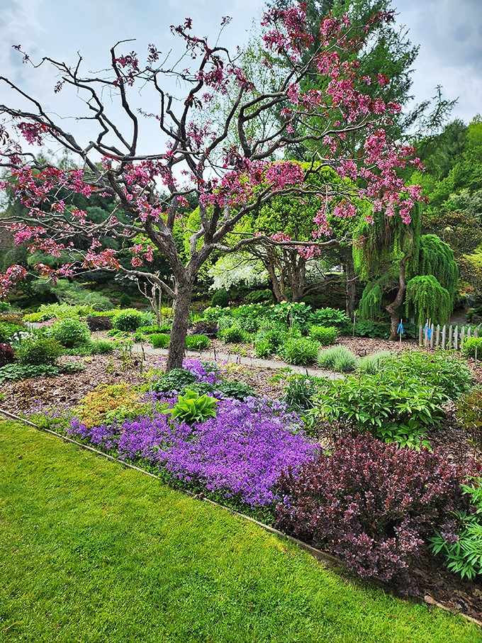 Nature's fireworks display! This explosion of color is like a Skittles commercial come to life &ndash; taste the rainbow, botanical edition.