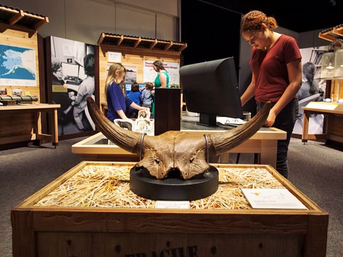 Horns of plenty... knowledge! This exhibit brings prehistory to life, proving that science can be both educational and jaw-dropping.
