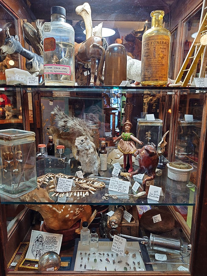 Peering into this cabinet of curiosities is like window shopping in a mad scientist's lab. Each shelf holds a new wonder—or mild shock.