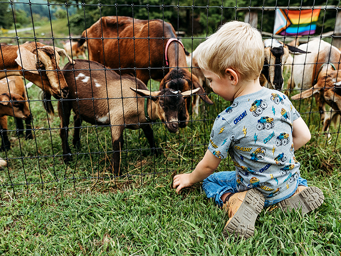 "Got any games on your phone?" This curious kid's making friends with the local kids &ndash; and by kids, we mean baby goats!