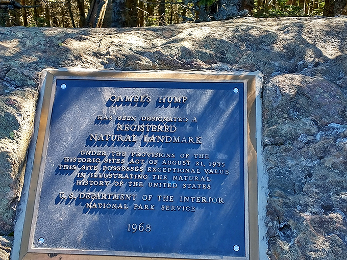 History's calling card: This plaque is like a text from 1968, reminding us that Camel's Hump has been Instagram-worthy long before Instagram existed.
