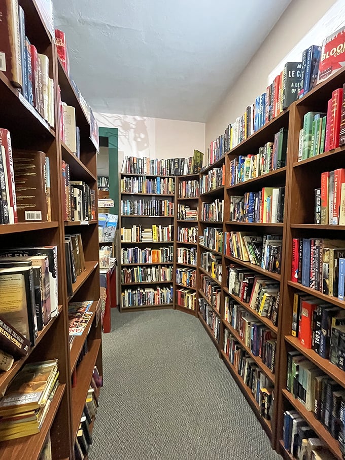 Where every turn reveals a new chapter. This cozy space feels like the living room of your most well-read friend.