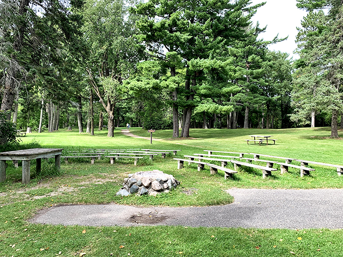 Nature's amphitheater: Where the birds deliver Grammy-worthy performances and the trees provide standing ovations.