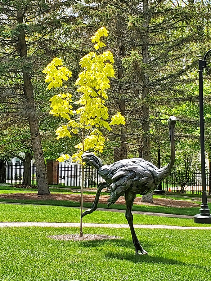 Strutting its stuff! This metallic ostrich proves that even in the art world, it's all about confidence and a dash of whimsy.