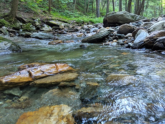 Who needs a spa when you've got this? Nature's own rock garden, complete with a bubbling stream soundtrack. Serenity now, indeed!