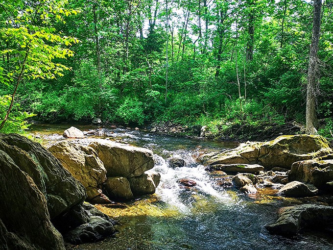 Mother Nature's spa day: Where rushing water meets ancient rocks, creating a soundtrack more soothing than any white noise machine.
