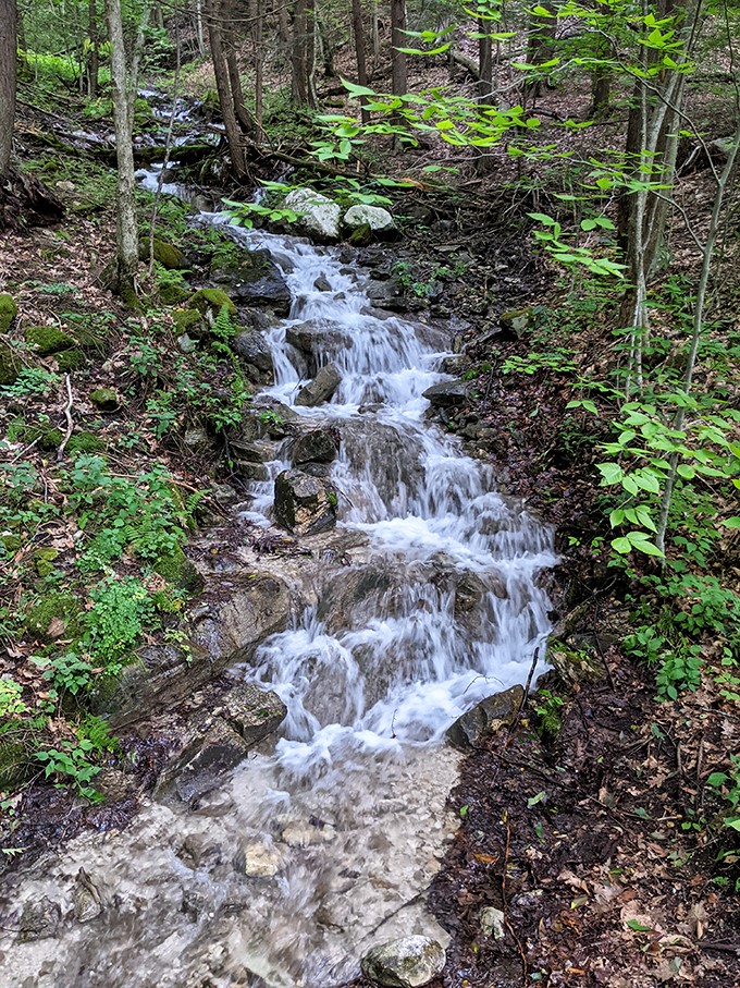 Who ordered the natural jacuzzi? This babbling brook is nature's own spa treatment, complete with a soothing forest soundtrack.
