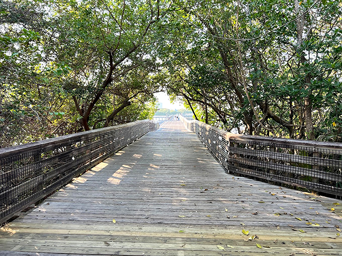 Nature's classroom: MacArthur Beach teaches lessons in beauty, no textbooks required.