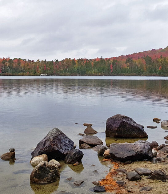 109 acre park vermont FTR