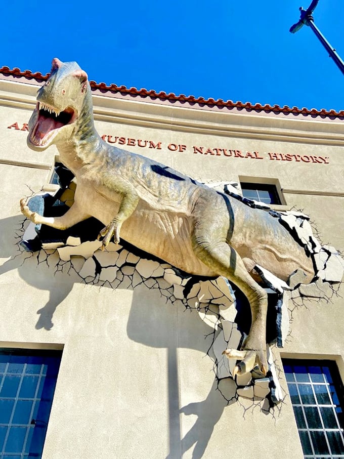 Jurassic Park, eat your heart out! The Arizona Museum of Natural History brings prehistory roaring back to life.