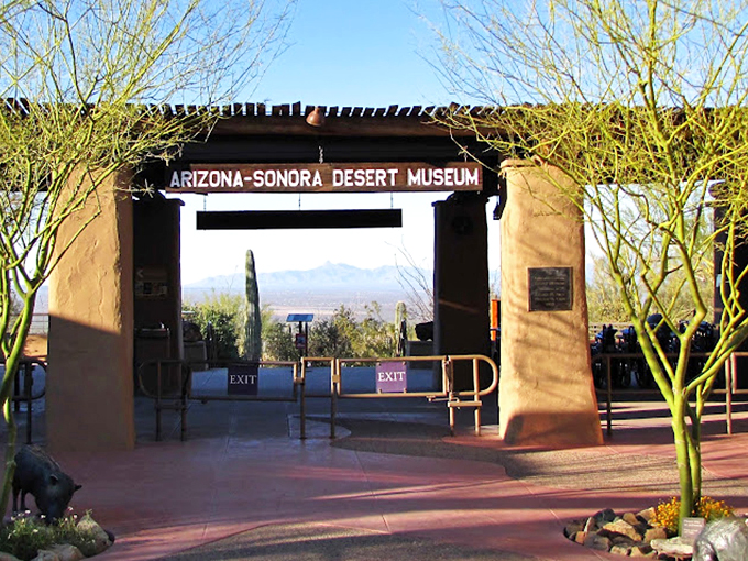 Where cacti meet culture and critters. It's a three-in-one desert extravaganza!