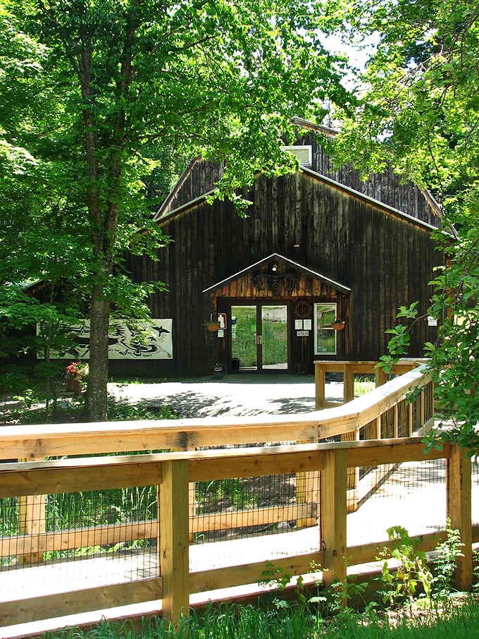 Wooden warblers and carved cardinals await! It's like a birder's dream, minus the mosquitoes and early wake-up calls.