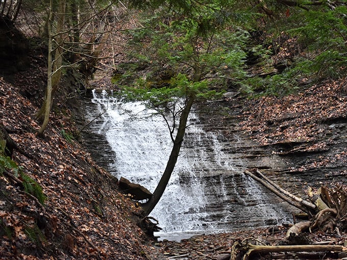 Blue Hen Falls: proof that size doesn't matter. This petite powerhouse packs a picturesque punch.