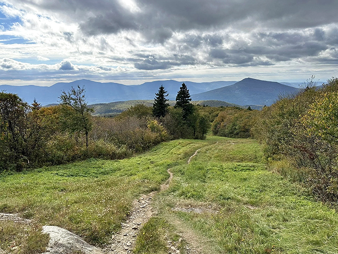 Bromley Mountain in summer: All the views, none of the frostbite. It's like skiing, but with more wildflowers and less falling on your face.