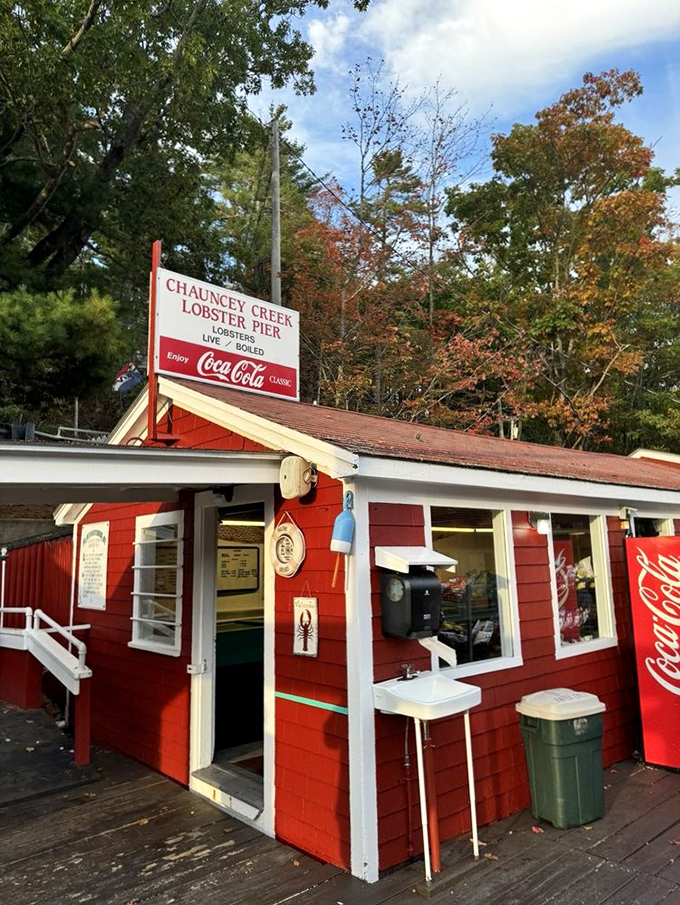 Chauncey Creek Lobster Pier: Where BYOB means 'Bring Your Own Bib'! This creek-side gem serves up lobsters so good, you'll forget your manners.