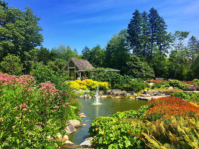 Floral pit stop! This enchanting garden at Coastal Maine Botanical Gardens is your ticket to a roadside paradise.