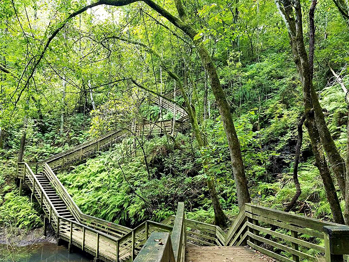 Take the scenic route... straight down! Devil's Millhopper is the vertical detour your road trip needs.