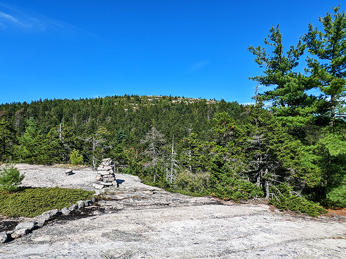 The scenic route just got scenicker. Is that a word? It is now, thanks to Donnell Pond.