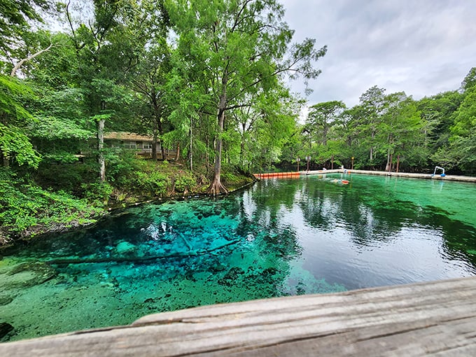 Detour to delight! Fanning Springs is the roadside gem that'll make you glad you strayed from the GPS.