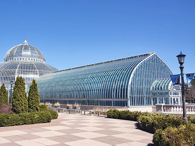 Trade highway heat for tropical treats. This glass-domed wonder is the ultimate climate-controlled pit stop!