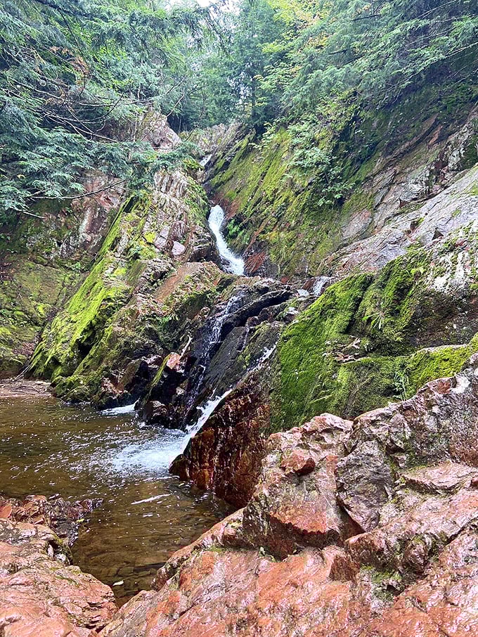 This hidden waterfall dropping through moss-covered rocks feels like the kind of place where forest creatures hold secret meetings.