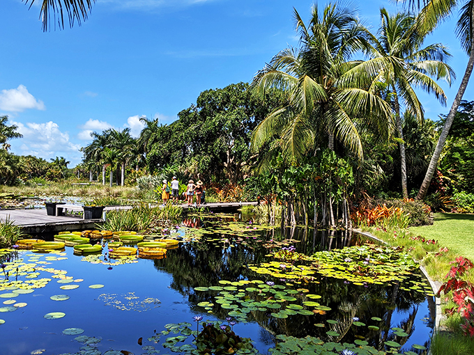 Naples Botanical Garden: "Lily pad luxury! These aquatic loungers look fit for frog royalty &ndash; or adventurous grandkids with good balance."