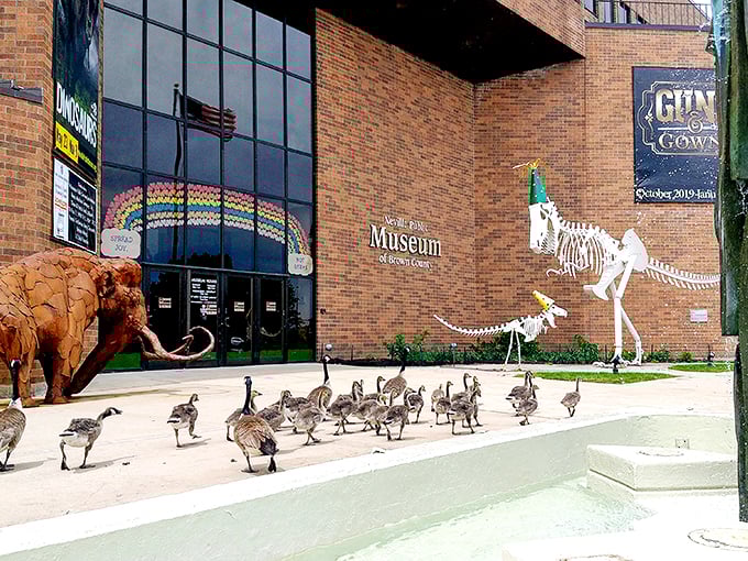 Neville Public Museum: Green Bay's time machine. Travel from the Ice Age to the Space Age without leaving the building!