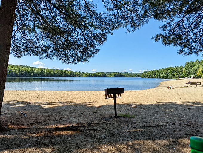 Range Ponds' beach: Sun, sand, and serenity. Just add your favorite beach read for the perfect summer day.