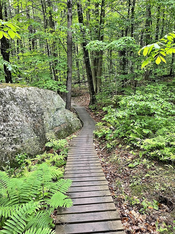 Local secret alert! These trails are proof that sometimes the best things are hidden in plain sight.
