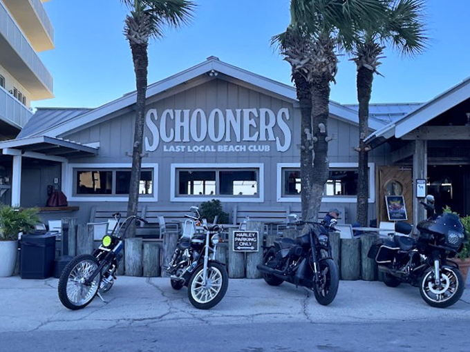 Schooners: Where "island time" isn't just a saying, it's a way of life. Beach bums and foodies unite!