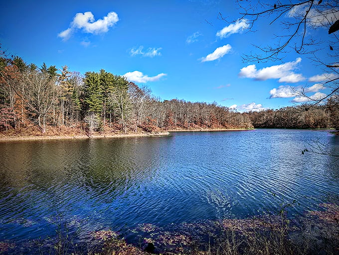 Road trip surprise: Wolf Run Lake's peaceful shores are the antidote to highway hypnosis.