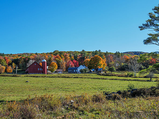 Weston: Where every view looks like it belongs on a postcard or in a play.