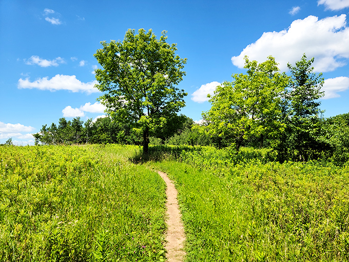 Blufftop views at Afton that'll make your Instagram followers green with envy. #NoFilterNeeded