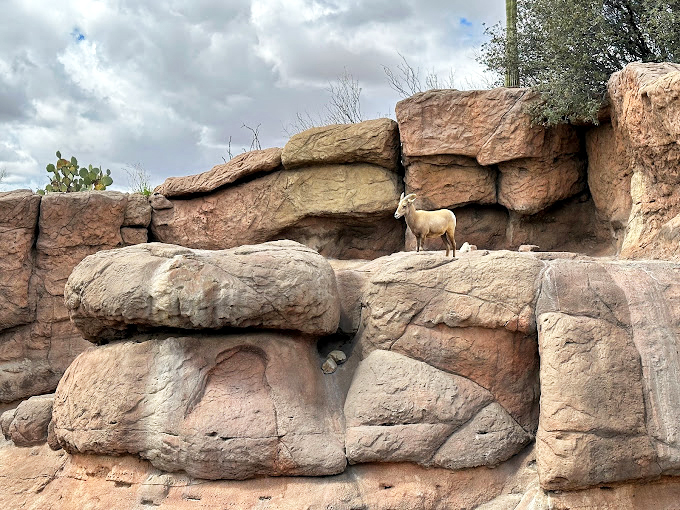 Watch raptors soar overhead. It's like 3D bird-watching, no special glasses required.