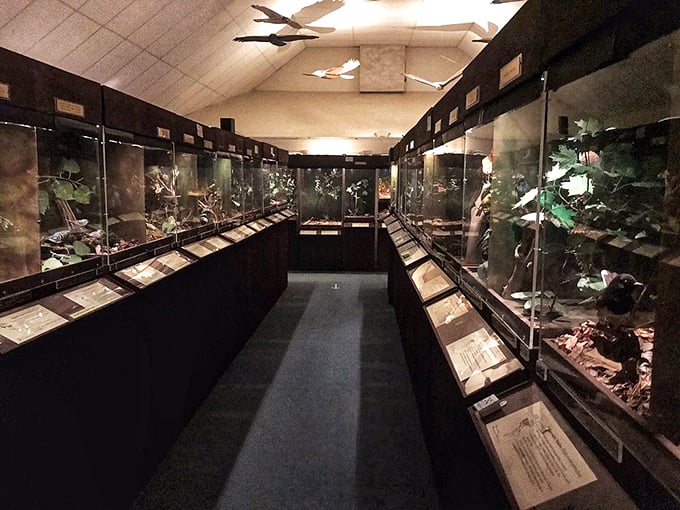 500 wooden birds, countless "wow" moments. This museum proves that sometimes, the early bird gets the&hellip; artwork?