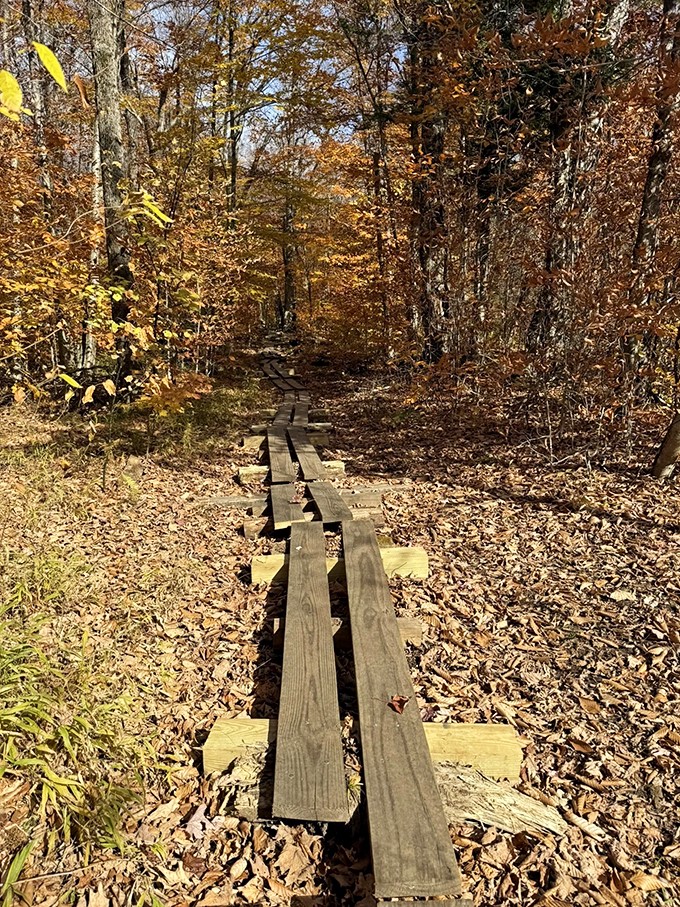 Hike Bromley via the Long Trail and you'll get a greatest hits album of Vermont scenery. No Spotify subscription required.