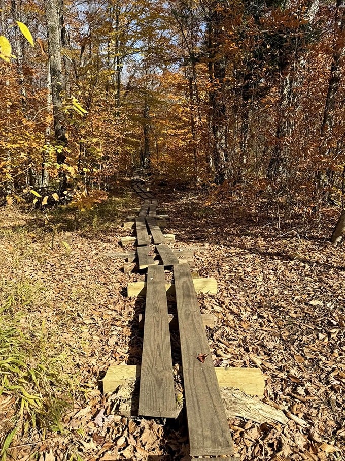 Hike Bromley via the Long Trail and you'll get a greatest hits album of Vermont scenery. No Spotify subscription required.