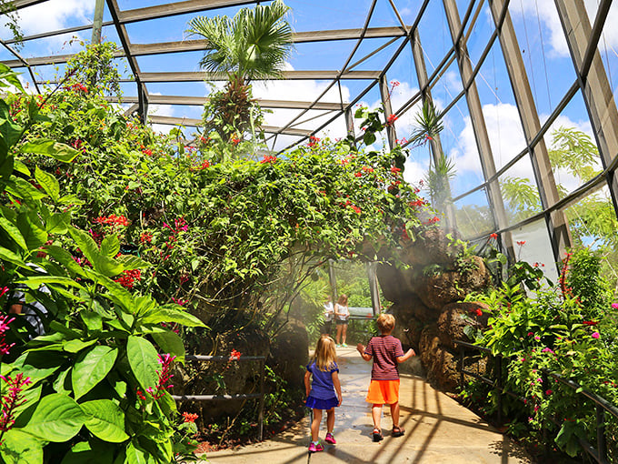 Butterflies, birds, and bugs &ndash; oh my! This fluttering paradise is nature's answer to confetti.