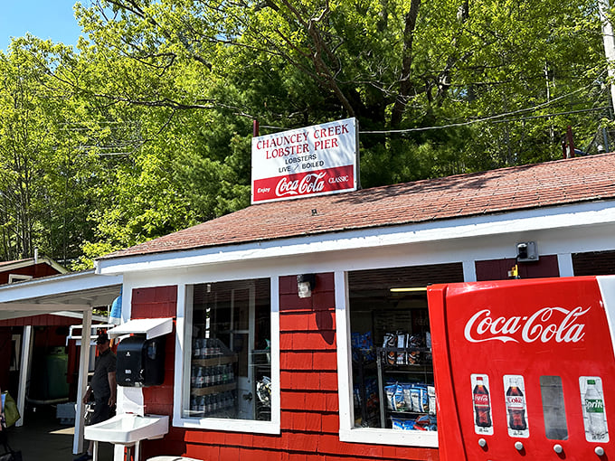 Tides may change, but Chauncey Creek's lobster game stays strong! This rustic retreat offers a true taste of coastal Maine living.