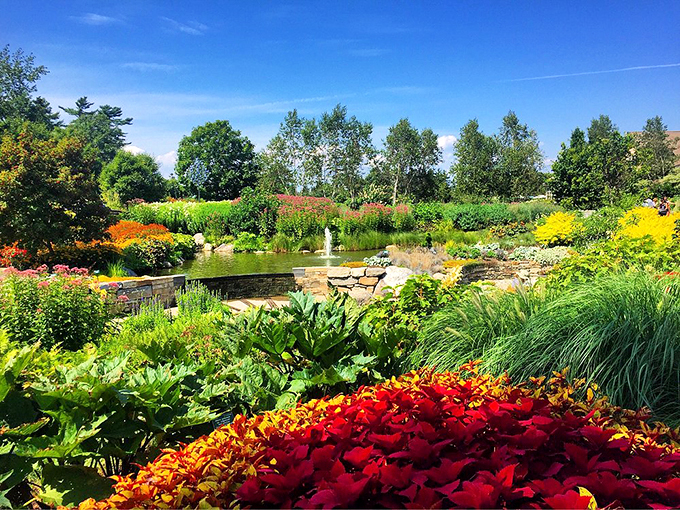 From highways to hideaways! The lush landscapes at Coastal Maine Botanical Gardens offer a serene break from the road.