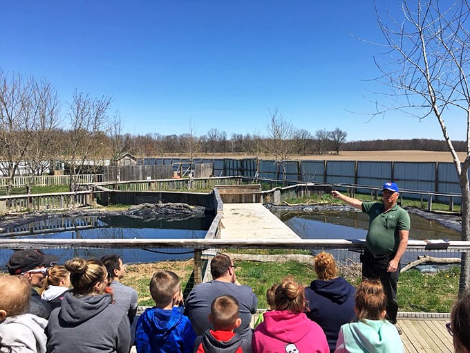 Turn off the engine and tune into adventure&mdash;a gator-filled stop that turns road trips into legends.