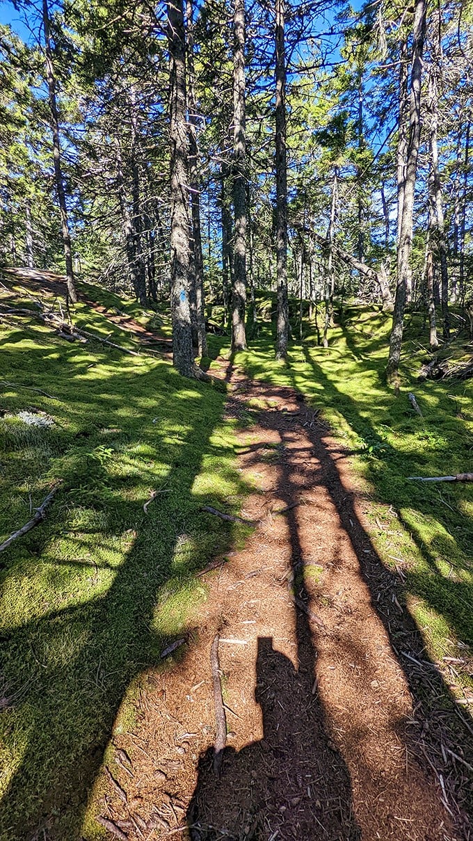 Solitude seekers, rejoice! This hidden gem offers peace, quiet, and killer views.