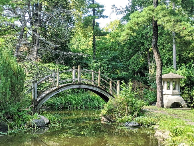 Tank-tastic adventure! Where else can you climb on real tanks and smell the roses?