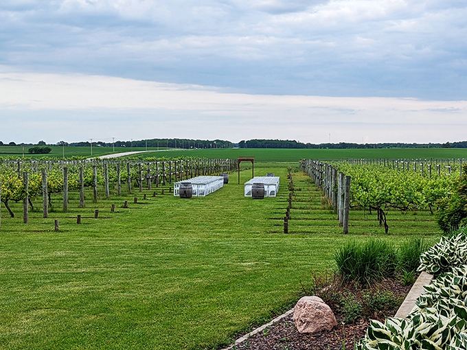 Modern oasis or wine lover's paradise? At Four Daughters, your road trip gets a stylish upgrade.